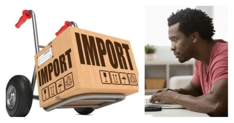 Mini Importation Business in Nigeria: How Profitable Is It? [Full Guide]
